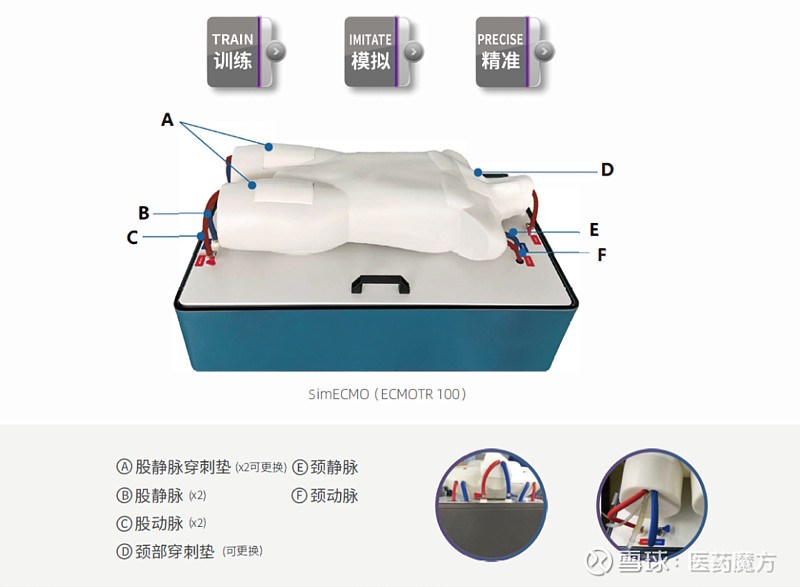 SimECMO-海归科学家打造新一代国产ECMO训练模拟系统 ECMO（Extra-Corporeal Membrane ...