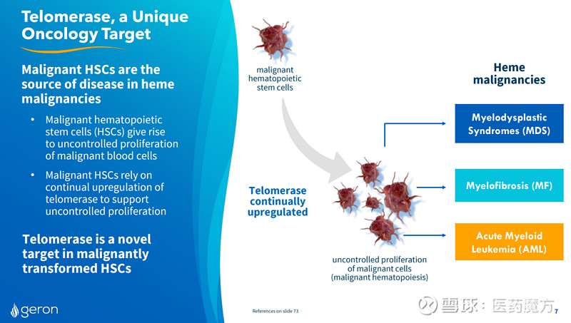 33年：首款端粒酶抑制剂上市申请获FDA受理 33年。这是Geron Corporation（下文简称Geron）从成立到第一款产品申报上市 ...