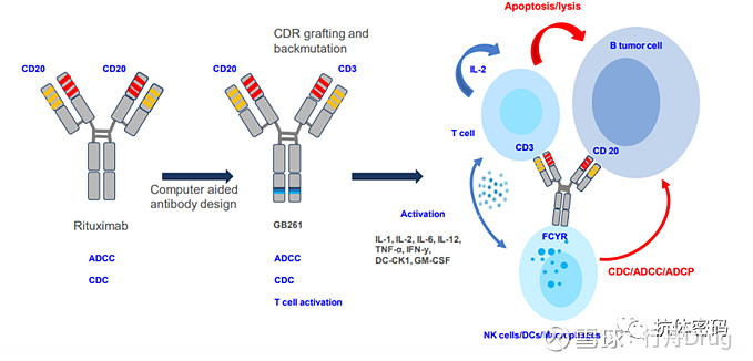 第4款CD20/CD3双抗！ 近日， 再生元 宣布欧洲药品管理局（EMA）已受理旗下双抗治疗CD3/CD20双抗odronextamab治疗 ...