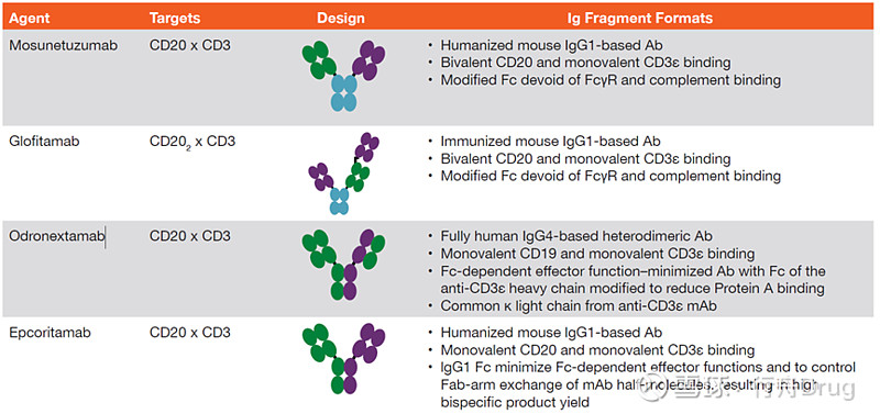 第4款CD20/CD3双抗！ 近日， 再生元 宣布欧洲药品管理局（EMA）已受理旗下双抗治疗CD3/CD20双抗odronextamab治疗复发/难治... - 雪球