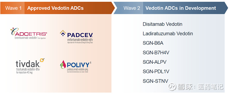 Seagen：ITGB6 ADC启动NSCLC三期临床 Armstrong 2023年8月25日， Seagen 在 ...