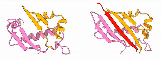 Science里程碑：诺奖成果之外，全新蛋白降解机制“诞生”，或带来新疗法！ 短寿命蛋白（Short-lived proteins）控制细胞中 ...