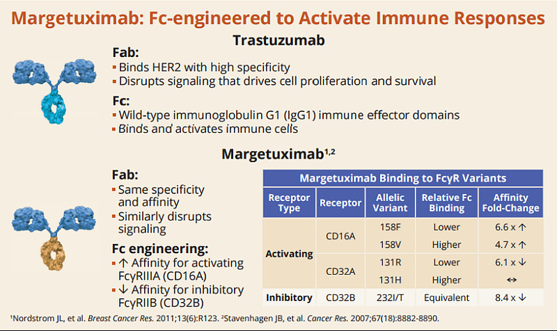 再鼎医药「马吉妥昔单抗」获批上市 9月1日，药监局官网显示， 再鼎医药 的马吉妥昔单抗（Margenza）获批上市，联合化疗治疗已经接受过两种 ...