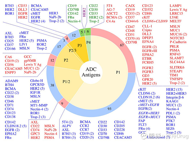 一网打尽临床ADC ADCs的出现为许多类型的癌症提供了一种有希望的治疗方法。随着越来越多的ADC进入临床试验，该行业正在逐渐从传统的技术逐 ...