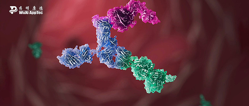 研发投入最多的十家药企，它们看好哪些新一代抗体疗法 编者按：近年来，新分子疗法成为医药产业的关注焦点，为这个行业带来了革命性的创新及无限的可能 ...