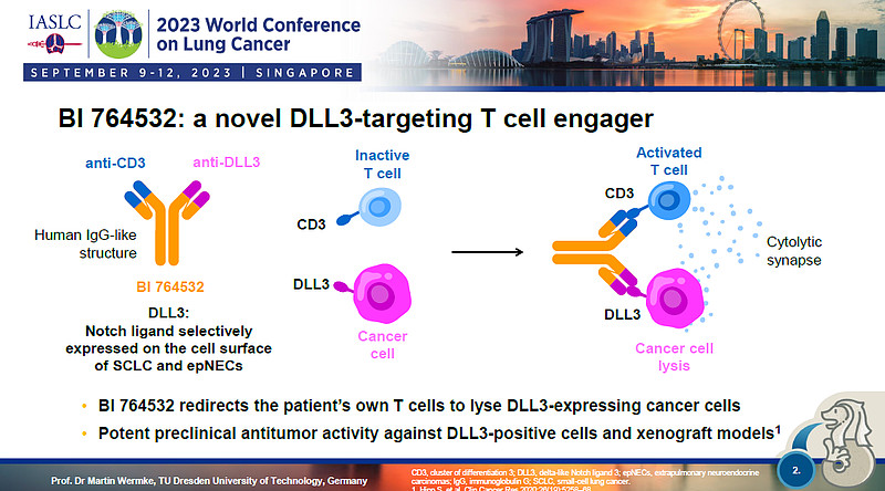 2023 Wclc 小细胞肺癌的探索:dll3靶向药物,b7 H3 Adc 小细胞肺癌(sclc)约占肺癌的14 ,且预后不良,广泛期患者