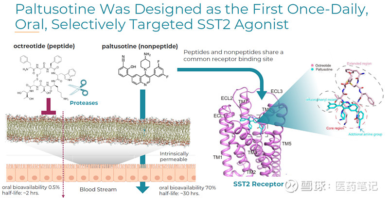 Crinetics大涨72%：SST2激动剂肢端肥大症三期临床成功 Armstrong 2023年9月11日， Crinetics ...