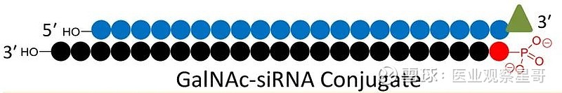 如何实现siRNA的5’末端磷酸化修饰？ 有观点，有态度 化学修饰是增强寡核苷酸药物递送的最有效方法之一。核酸骨架、核糖部分和碱基本身的修饰已 ...