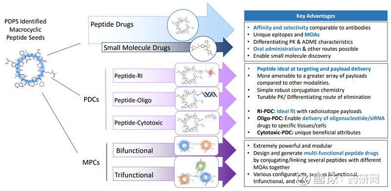 最高10亿美元，PeptiDream与基因泰克达成多肽放射性偶联物合作 9月20日，PeptiDream宣布，与罗氏基因泰克达成新的多靶点合作 ...