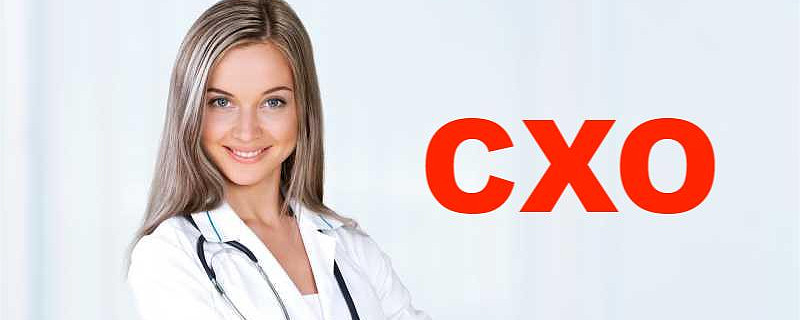 医药外包（CXO）产业链深度解析——科普篇：一文说清楚CRO/CMO/CDMO，详说CXO的前世今生 最近这段时间是扎到医药堆里了，索性这几日就好好研究下CXO产业链。CXO模式最早来源于欧美 ...