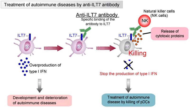 睿智医药祝贺创响生物与Aditum Bio就IMG-018创建Celexor Bio助力其全球开发 $睿智医药(SZ300149)$ 睿智医药 ...