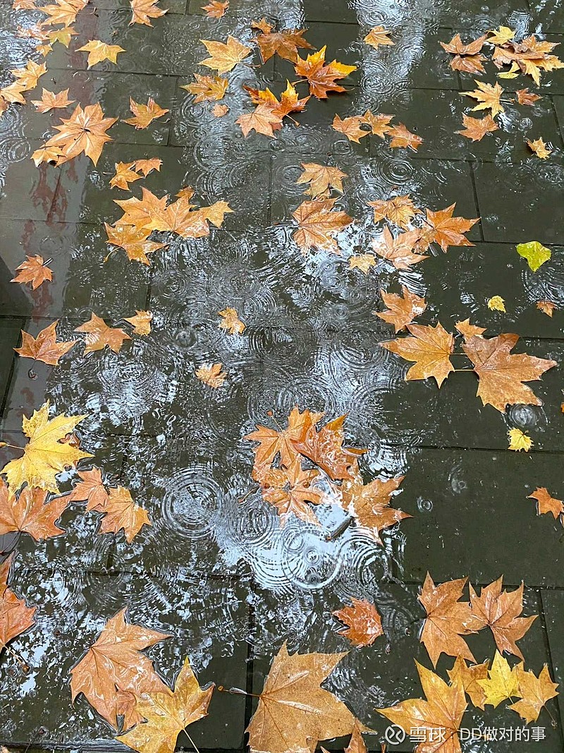 $比亚迪(SZ002594)$相比于腾势N7，方程豹豹5和仰望U9似乎更容易出圈， 比亚迪 果然在红海市场竞争能力还要加... - 雪球