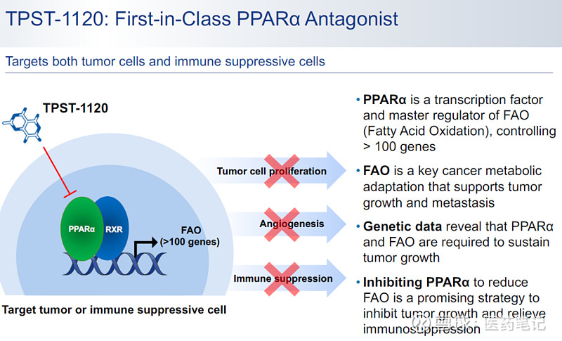 Tempest大涨4000%：PPARα抑制剂一线肝癌1b/2期临床获积极数据 Armstrong 2023年10月11日， Tempest ...