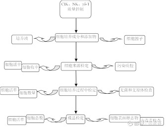 CAR-T/NK免疫细胞治疗的质量控制难点！ 10月24日（周三） 19:00-20:20 加速放行，CGT药物分析与质控要点系列解析 第二期 免疫细胞治疗产品如何实... - 雪球