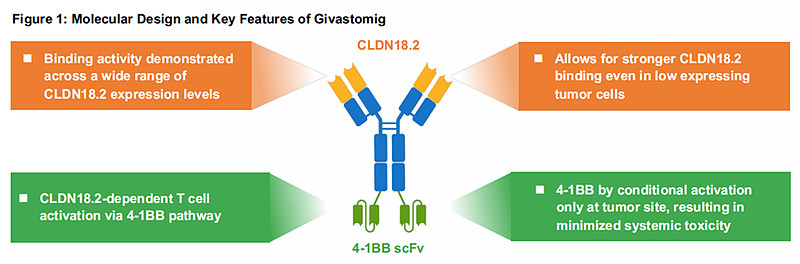 首个CLDN18.2/4-1BB双抗公布临床数据，天境、创胜、康诺亚等药企持续发力角逐CLDN18.2赛道 去年11月，CLDN18.2赛道“开拓者”zolbetuximab顺利完成III期 ...