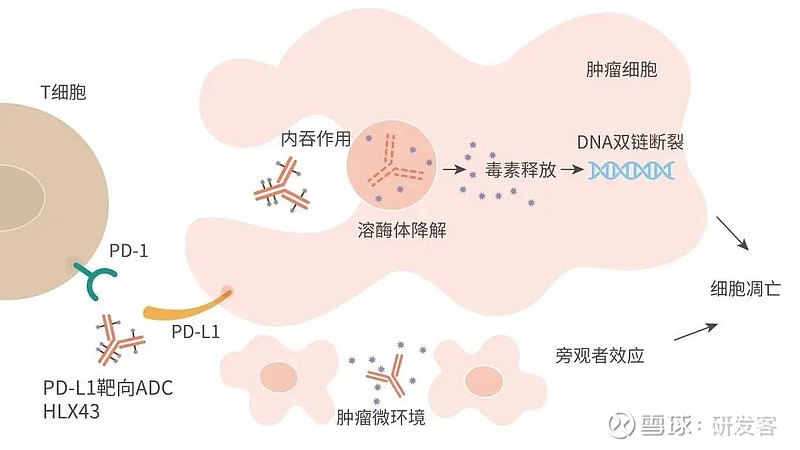 宜联生物与复宏汉霖合作的两款BIC/FIC ADC创新药同时获批临床 | 新闻稿 2023年10月27日， 复宏汉霖 （2696.HK）宣布，其与宜联生物的合作开发的两款抗体偶联药物 ...