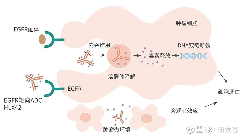 宜联生物与复宏汉霖合作的两款BIC/FIC ADC创新药同时获批临床 | 新闻稿 2023年10月27日， 复宏汉霖 （2696.HK）宣布，其与宜联生物的合作开发的两款抗体偶联药物 ...