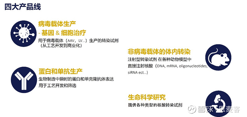 直播预告丨下一代基因工程Helper质粒pPLUS® AAV-Helper 提高AAV产量 使用rAAV作为治疗性转基因递送的病毒载体仍然需要 ...