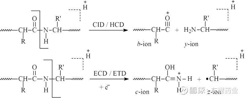 曜享干货 | ADC药物质量研究系列（二）LC-MS/MS平台支持ADC药物偶联位点异质性深入表征 ADC药物 抗体偶联药物（Antibody ...