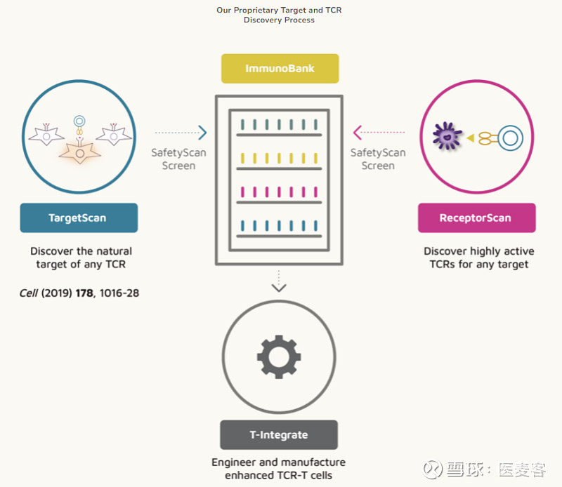 SITC 2023丨多重治疗个性化TCR-T，带领新靶点，决战实体瘤 2023年11月10日/医麦客新闻 eMedClub News/--近日 ...