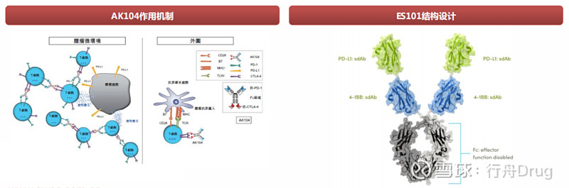 双特异性抗体的分类及作用机制 双特异性抗体（Bispecific monoclonal antibody，BsAb）是一种人工合成的抗体，具有 ...