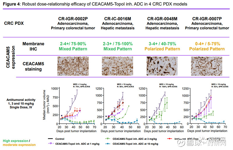 Seagen/Sanofi启动CEACAM5 ADC临床 近日， Seagen 和Sanofi启动了一项SGN-CEACAM5C治疗晚期实体瘤 ...