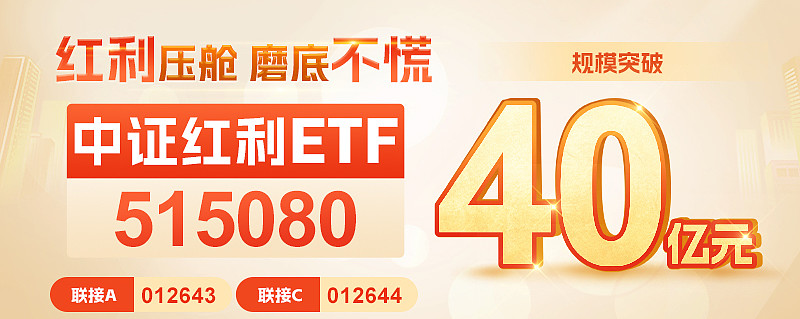 成立四周年，四个关键数据重新认识中证红利ETF（515080） “1994年我们从可口可乐公司收到的现金分红为7500万美元。而到了2022年，分红已经增加到了7.04亿美元。每一年的... - 雪球