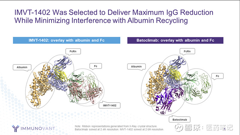 潜在最优FcRn抗体：Immunovant公布IMVT-1402一期临床数据 Armstrong 2023年11月28日 ...
