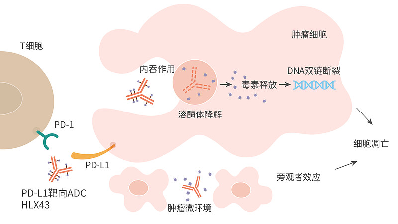 复宏汉霖PD-L1 ADC在美获批临床 11月27日， 复星医药 发布公告，称其子公司 复宏汉霖 近日收到美国FDA关于同意注射用HLX43 ...