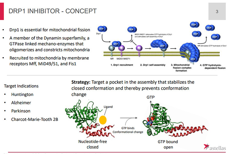 安斯泰来剥离DRP1抑制剂，寻找买家 12月4日，安斯泰来在官网上更新了产品出售列表，为DRP1抑制剂项目寻找买家。除了DRP1抑制剂，表格中 ...