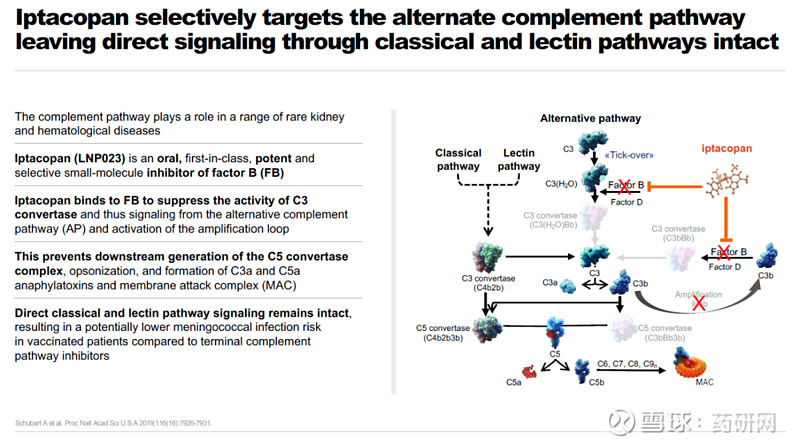 诺华first-in-class口服PNH治疗药物获FDA批准上市 12月6日，诺华宣布，美国食品和药物管理局(FDA)批准Fabhalta ...
