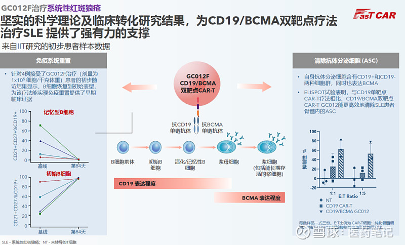 亘喜生物FasTCAR-T GC012F：一线MM数据惊艳，rSLE IND获FDA批准 Armstrong近日， 亘喜生物 在第65届美国 ...