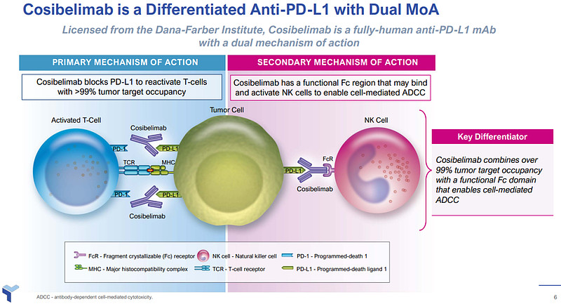 FDA拒绝批准PD-L1单抗，Checkpoint股价大跌45% 12月18日， Checkpoint Therapeutics 宣布，FDA ...
