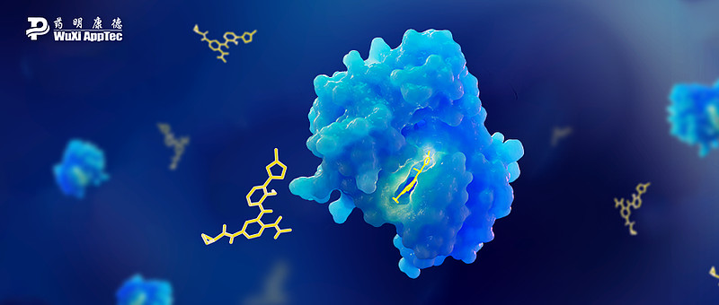 开发潜在“first-in-class”穿越血脑屏障小分子，新锐完成1.16亿美元B轮融资 Sudo Biosciences今天宣布完成了由 ...
