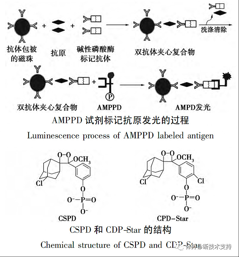 深度介绍！化学发光技术原理 化学发光免疫分析法（chemiluminesecence immunoassay,CLIA）最早出现于上个世纪70 ...