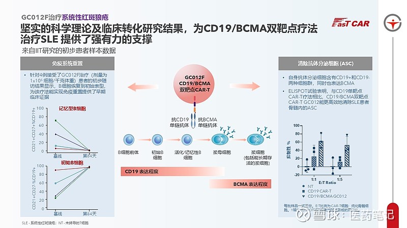 亘喜生物：GC012F IND国内再获批，rSLE适应症快速实现中美双报 继获得美国FDA批准开展GC012F针对难治性系统性红斑狼疮 ...
