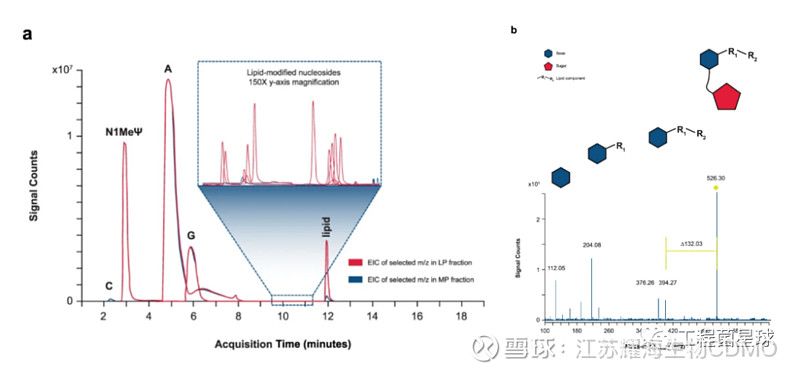 【耀文解读】基于IP-RP-HPLC分析mRNA疫苗中的杂质：脂质 mRNA加合物 #HPLC# #重组蛋白# #RNA疗法# 注：本文不构成 ...