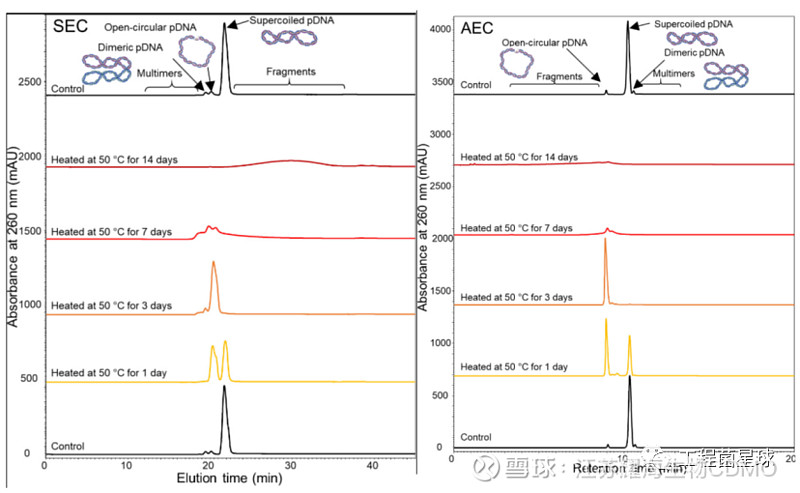 【耀文解读】首次！Waters超宽孔径SEC-HPLC检测质粒DNA, mRNA, LNP聚集体 #HPLC# #重组蛋白# #CDMO# 注 ...