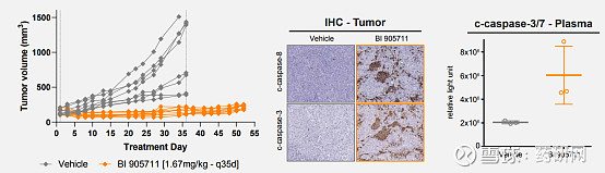 CDH17 ——消化道肿瘤靶点新星 钙粘素（cadherin， 钙粘蛋白，钙粘合素） 是一类依赖于 Ca2+ 的细胞粘附分子的超家族，它在维持 ...