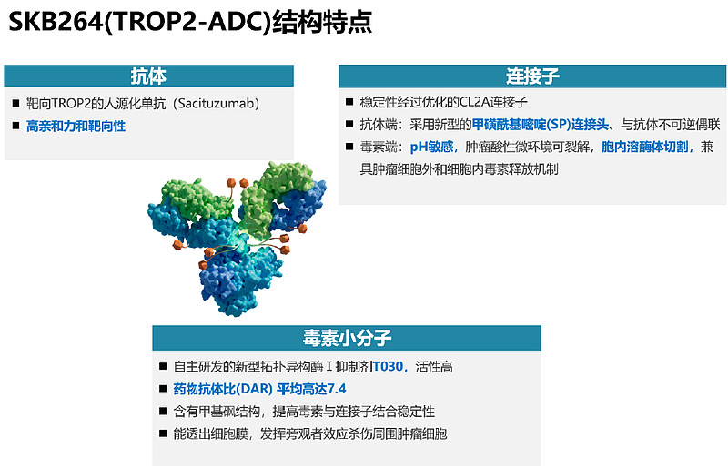 ADC秀场，制药巨头和中国Biotech双向奔赴 自首个抗体偶联药物（ADC）吉妥珠单抗奥唑米星（Mylotarg）上市以来，ADC药物 ...