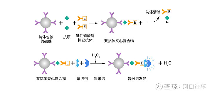 亚辉龙研究（七）-化学发光原理及五虎对比 一，体外检测发展历程及定义（1）体外诊断行业定义及分类体外诊断（In-Vitro ...
