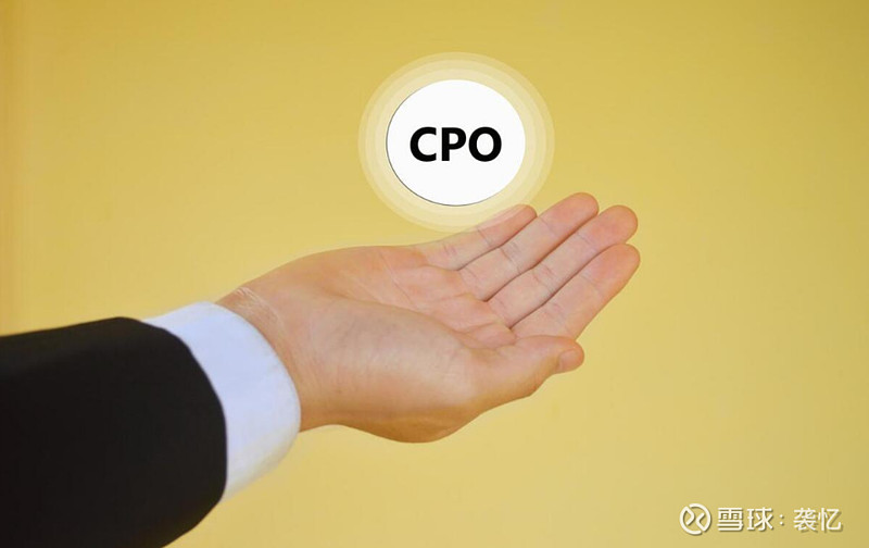 中国股市：AI多领域应用！CPO需求大增，核心个股一览！（名单） CPO概念（Coupled Package Optics）是一个集成光学元件 ...