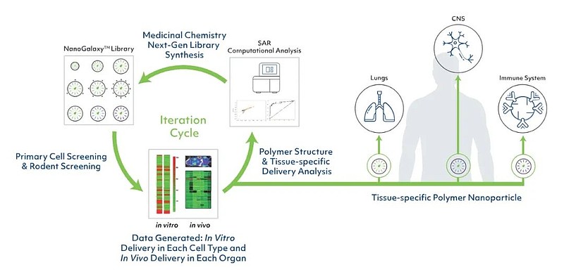 6.44亿美元！罗氏押注新型递送技术，开发自免疾病核酸药物 1月23日，GenEdit宣布与罗氏子公司基因泰克（Genentech）达成合作和 ...