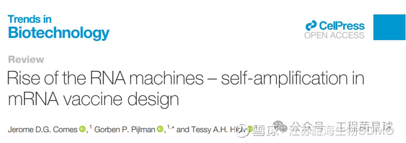 【耀文解读】mRNA技术的新星—自复制RNA(saRNA)技术的回顾与展望 #RNAi疗法# #CDMO# #重组蛋白# 注：本文不构成任何投资意见和建议，以官方/公司公告为准；本文仅作 医疗 ...