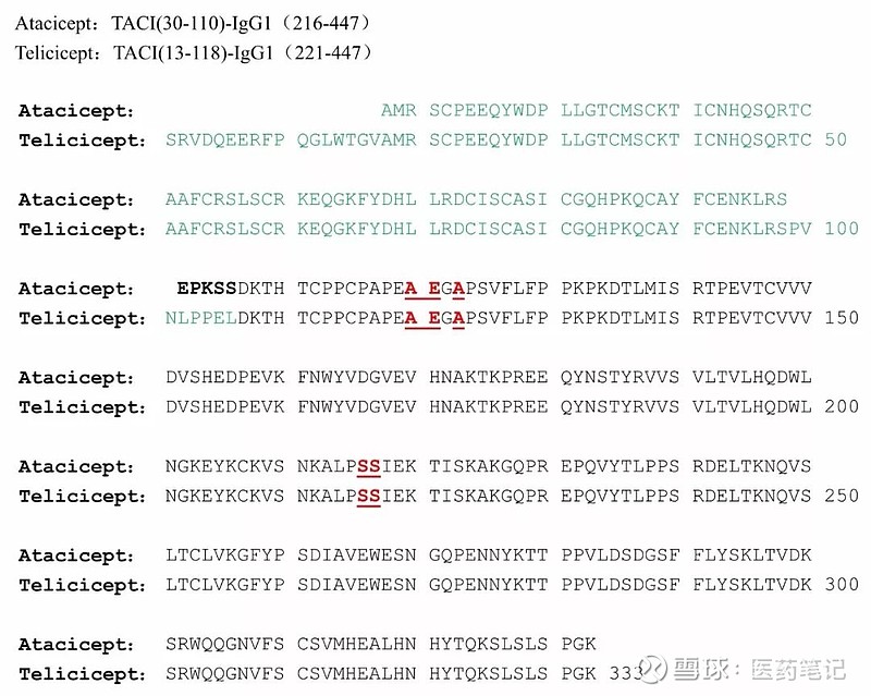 10亿美元分子：Vera大涨49%，Atacicept治疗IgA肾病2b期临床成功 Armstrong 2023年1月25日， Vera ...