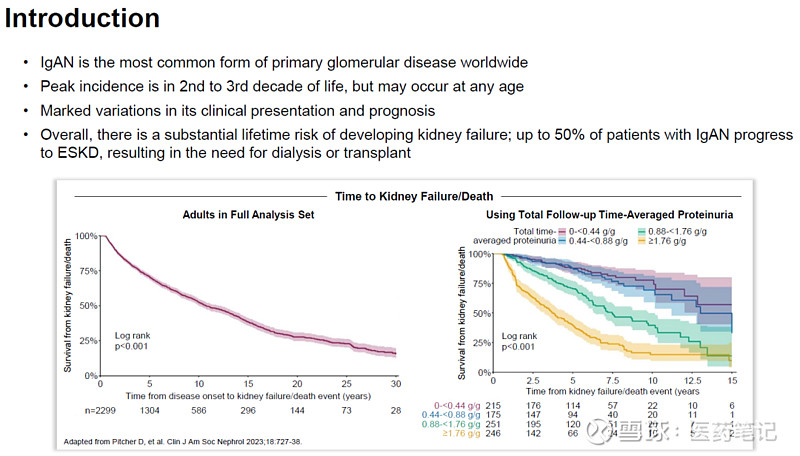 10亿美元分子：Vera大涨49%，Atacicept治疗IgA肾病2b期临床成功 Armstrong 2023年1月25日， Vera ...