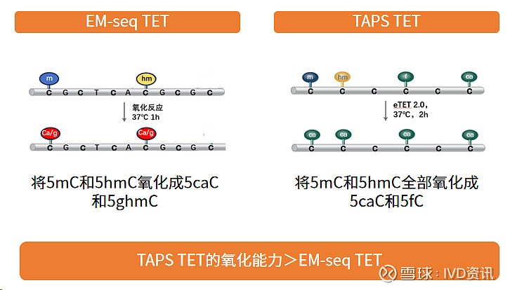 甲基化正向转化率突破90%，TAPS转化酶原料国内首家发布 DNA甲基化是基因表观遗传学修饰的一种重要方式，是指在DNA甲基化转移酶（DNMT ...