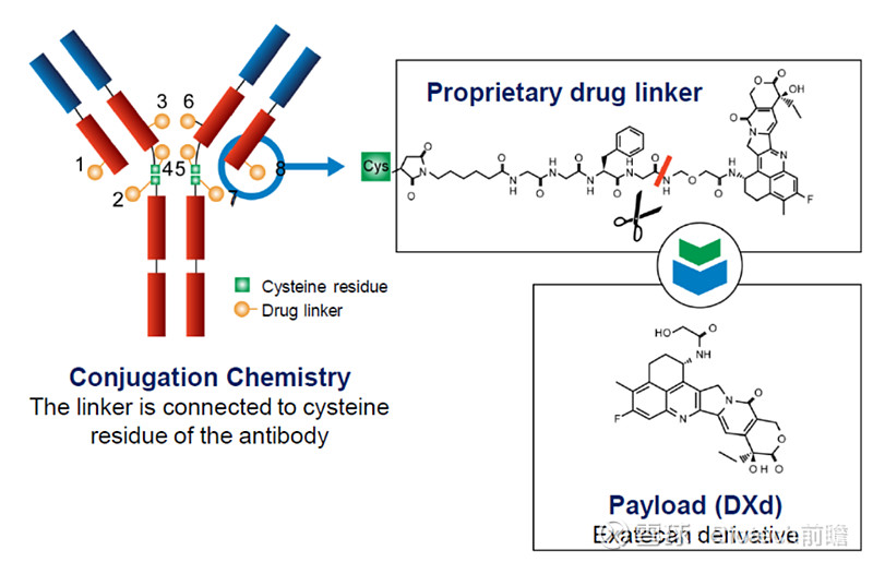 DS-8201新适应症剑指HER2+实体瘤，汇总在研临床试验 ——快 讯——2024年1 月 29 日， 阿斯利康 宣布，第一三共/阿斯利康 ...