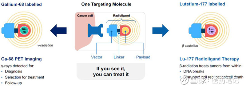 科伦博泰布局RDC：ADC之后再度进军明星赛道 Armstrong 放射性核素偶联药物（RDC）是基于放射性核素-靶向配体分子偶联技术开发的一 ...