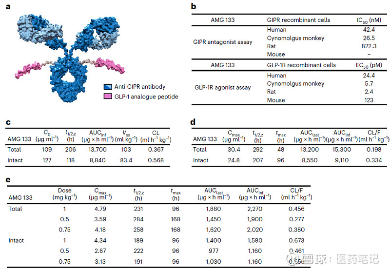 安进：AMG133治疗12周减重14.5% Armstrong 2024年2月5日， 安进 GIPR抗体偶联GLP-1新药AMG133的临床前和一期临床数据发表在... - 雪球